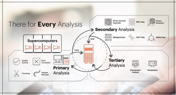 Moving Mountains of Data Through the Bioinformatics Workflow