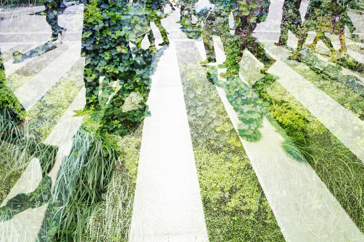 Creating Global Environments for Us All to Thrive