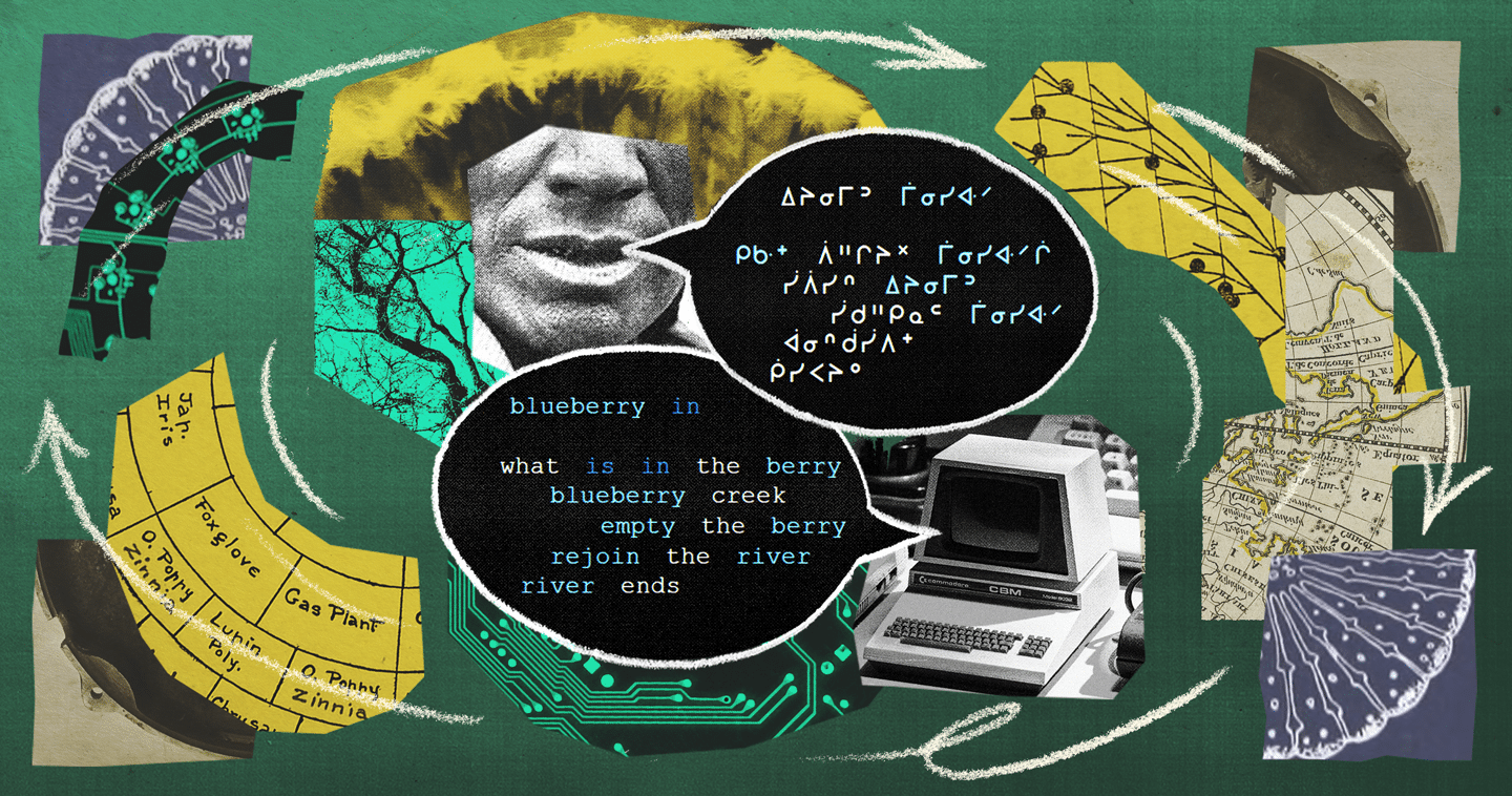 AI and Indigenous Languages